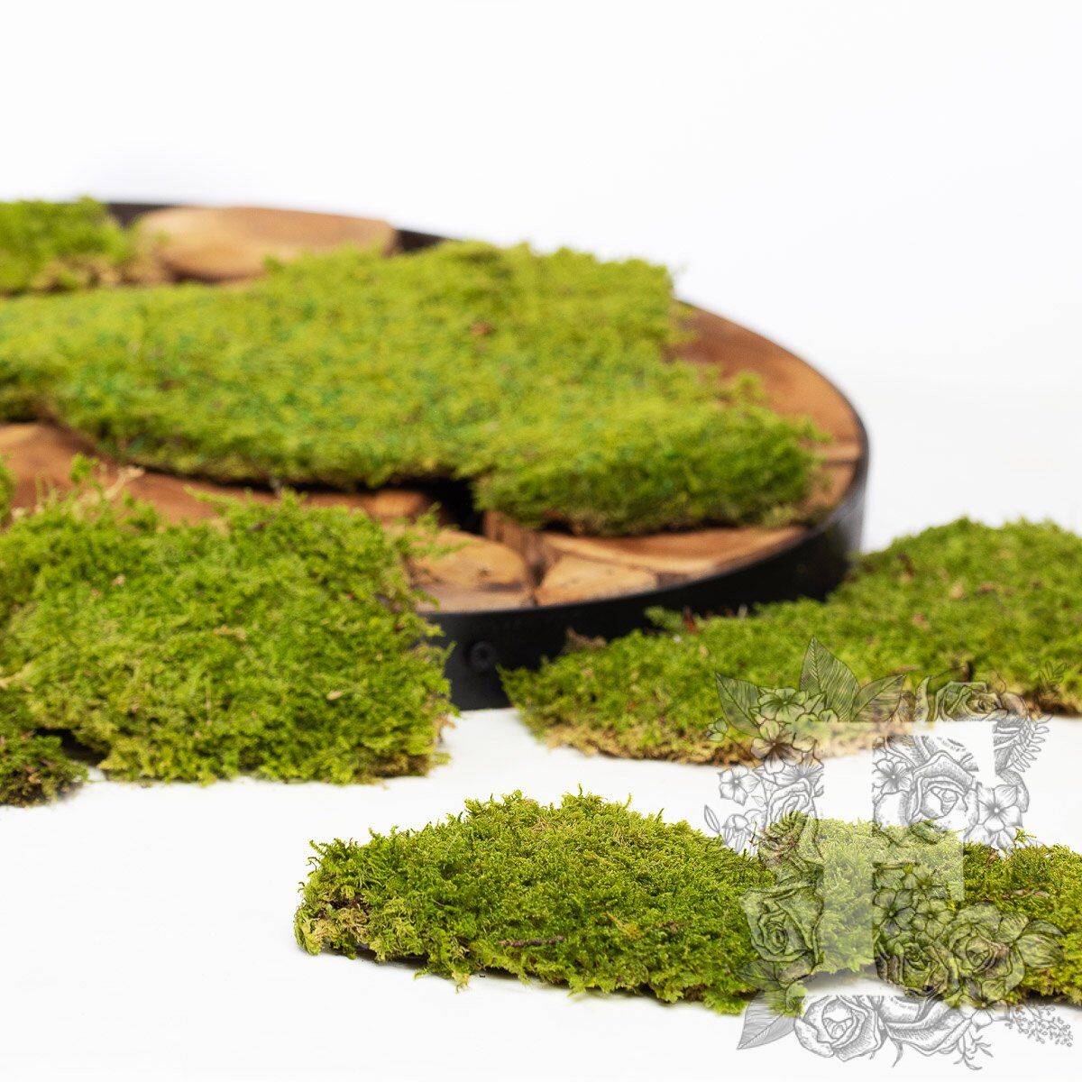 Preserved Moss Wholesale | Moss Suppliers UK | Fora Nature